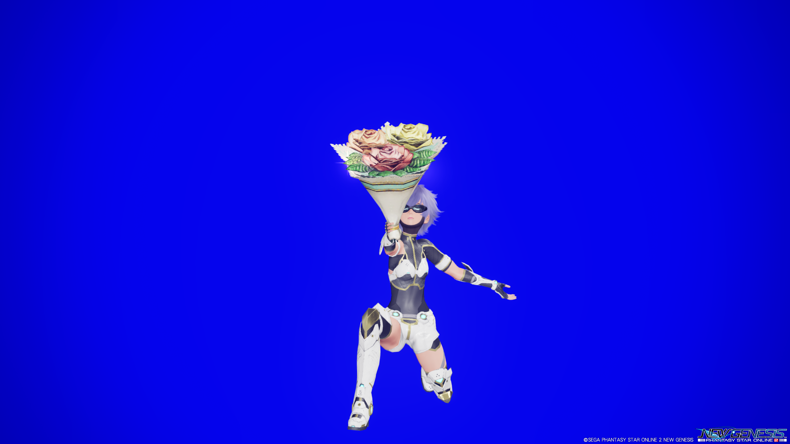 237「花束」 | えあろのPSO2ロビアク倉庫
