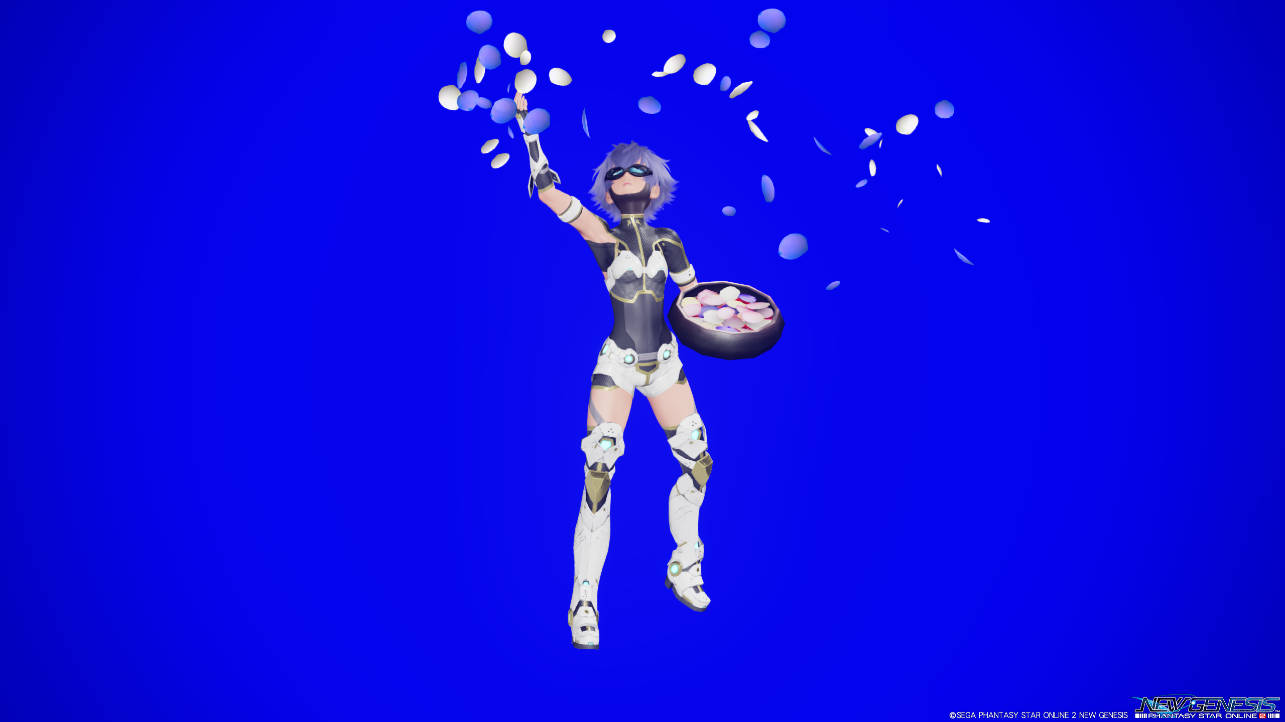 220「花びら」 | えあろのPSO2ロビアク倉庫