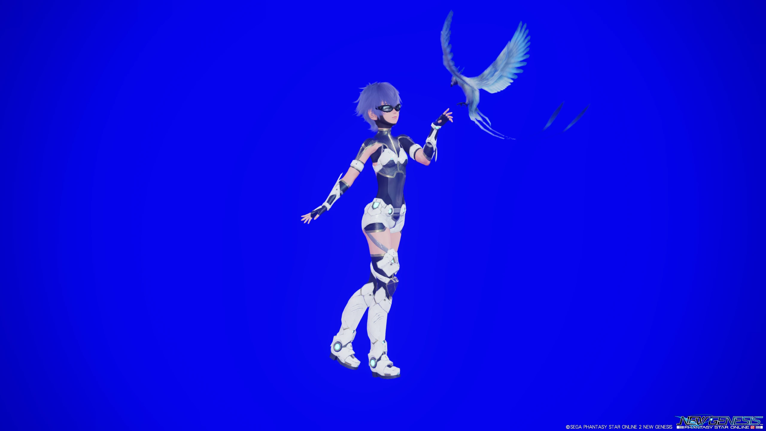 805「鳥と戯れる」 | えあろのPSO2ロビアク倉庫